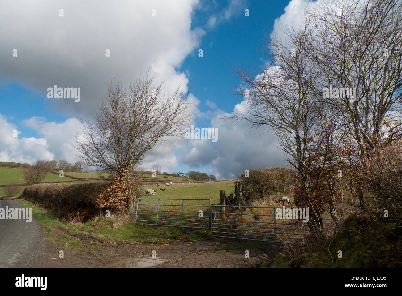 Beautiful march landscape uk hi-res stock photography and images - Alamy