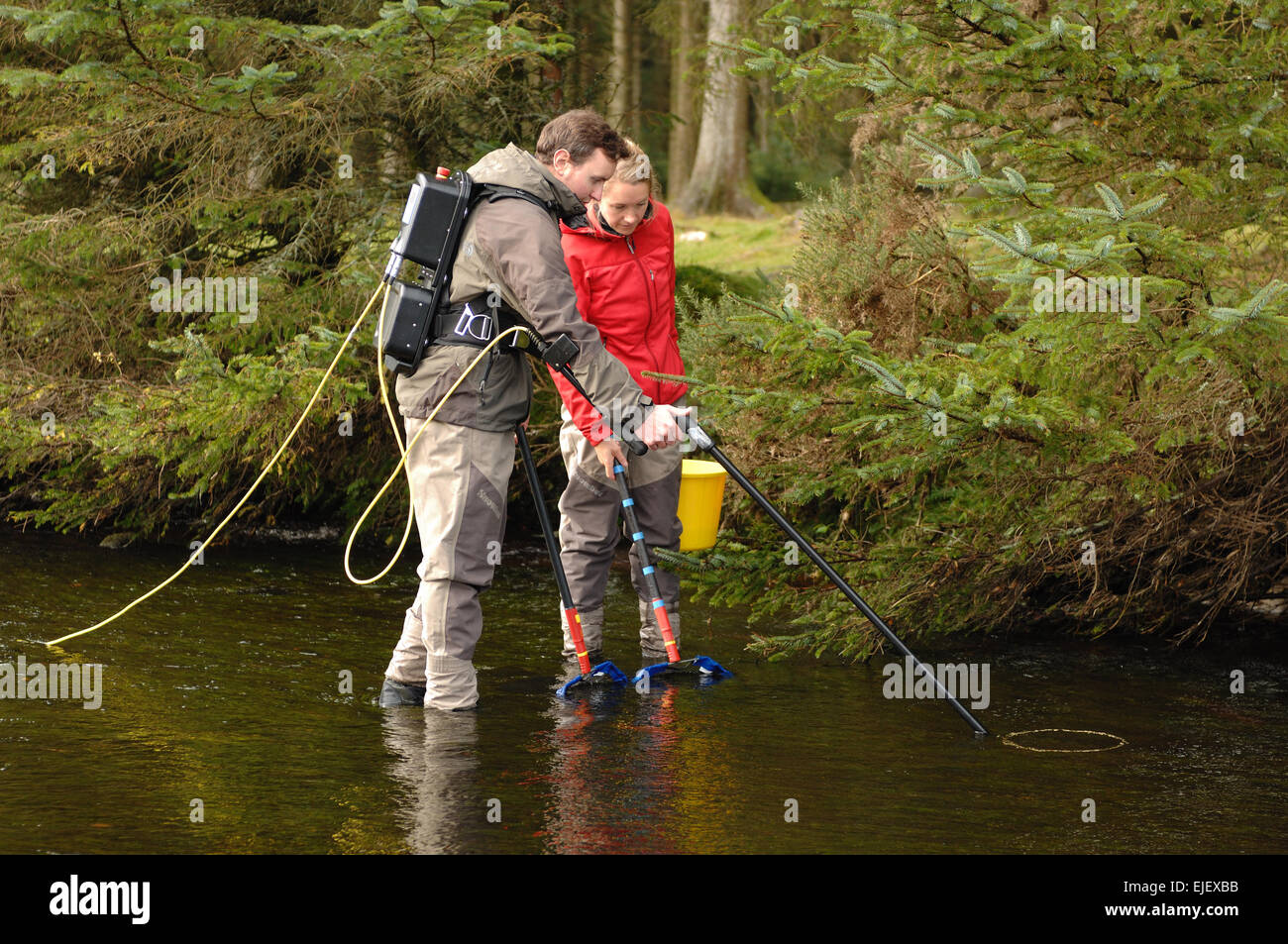 Westcounty Rivers Trust electro fishing on the east dart river at ...