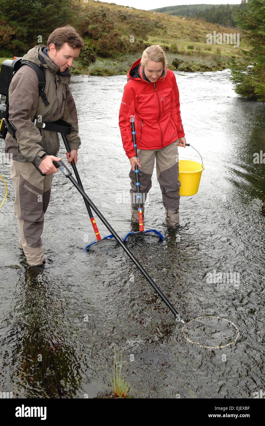 Westcounty Rivers Trust electro fishing on the east dart river at ...