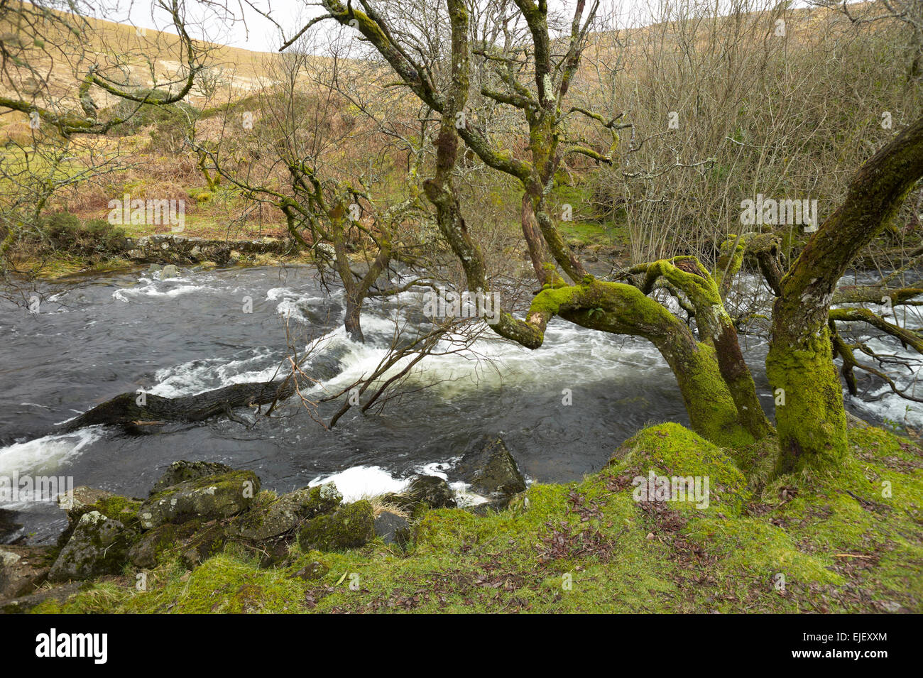 River Avon north of South Brent , Dartmoor National Park Devon England ...