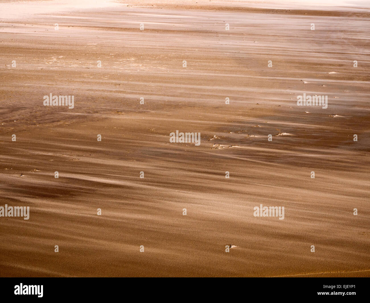 Wind blowing sand across beach hi-res stock photography and images - Alamy