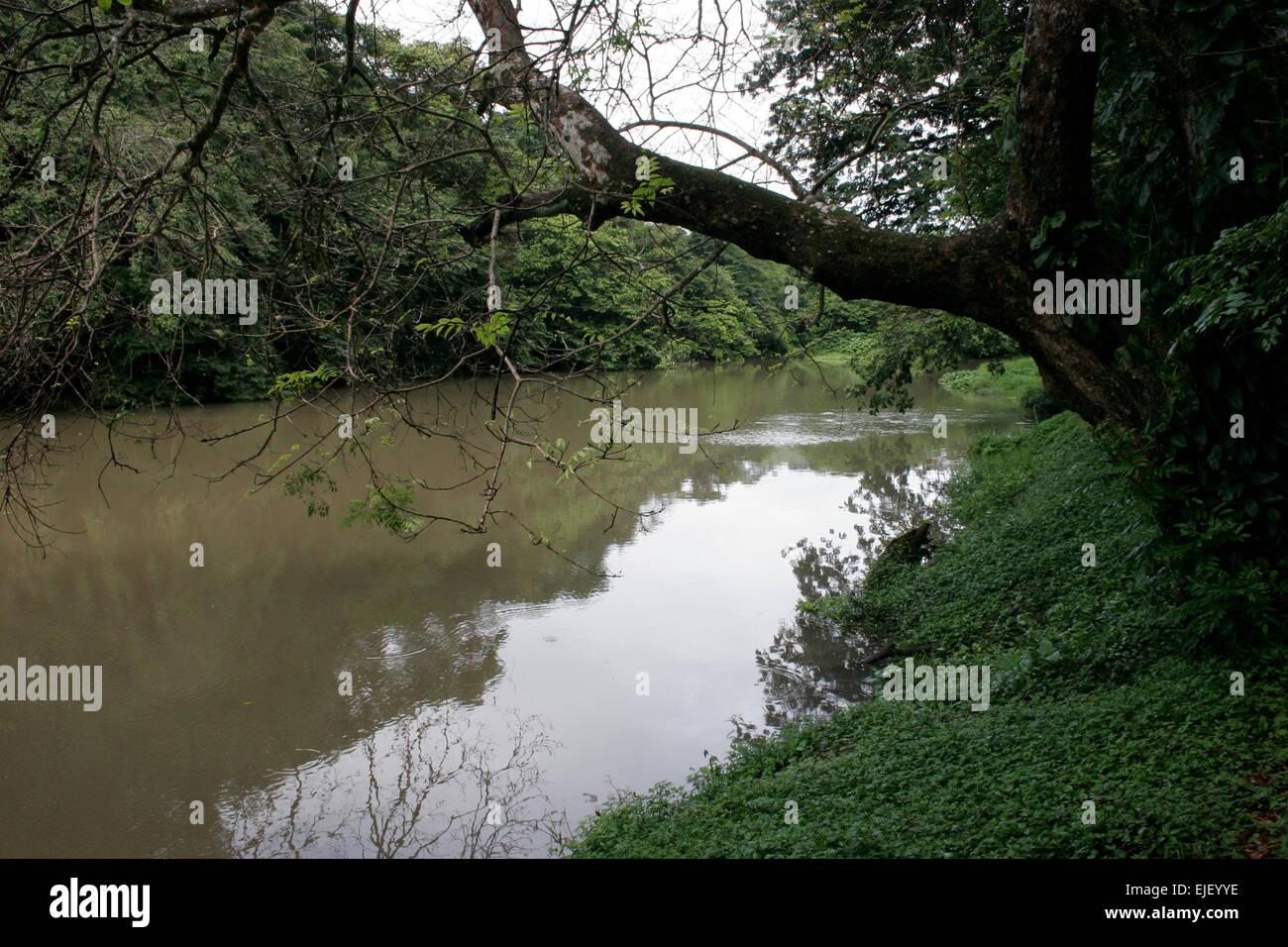 Bankriver hi-res stock photography and images - Alamy