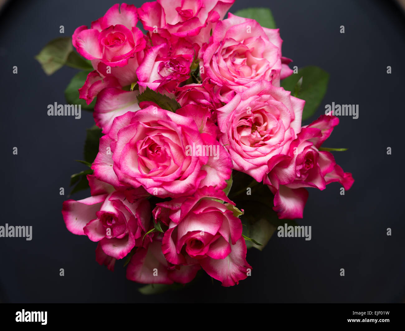 Appreciation up close hi-res stock photography and images - Alamy