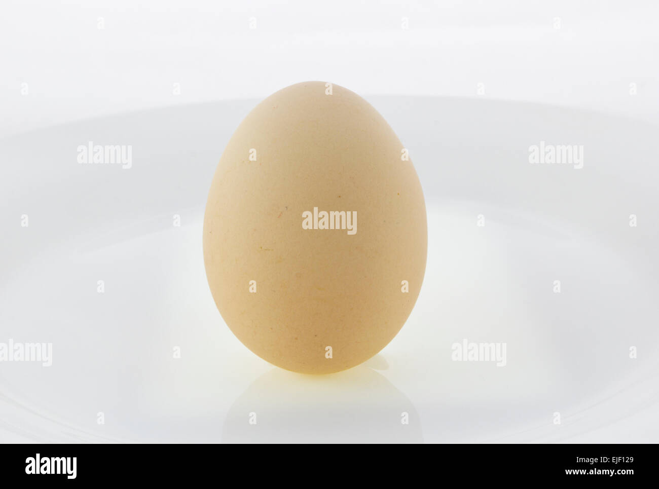 Single egg isolated on a white background Stock Photo - Alamy