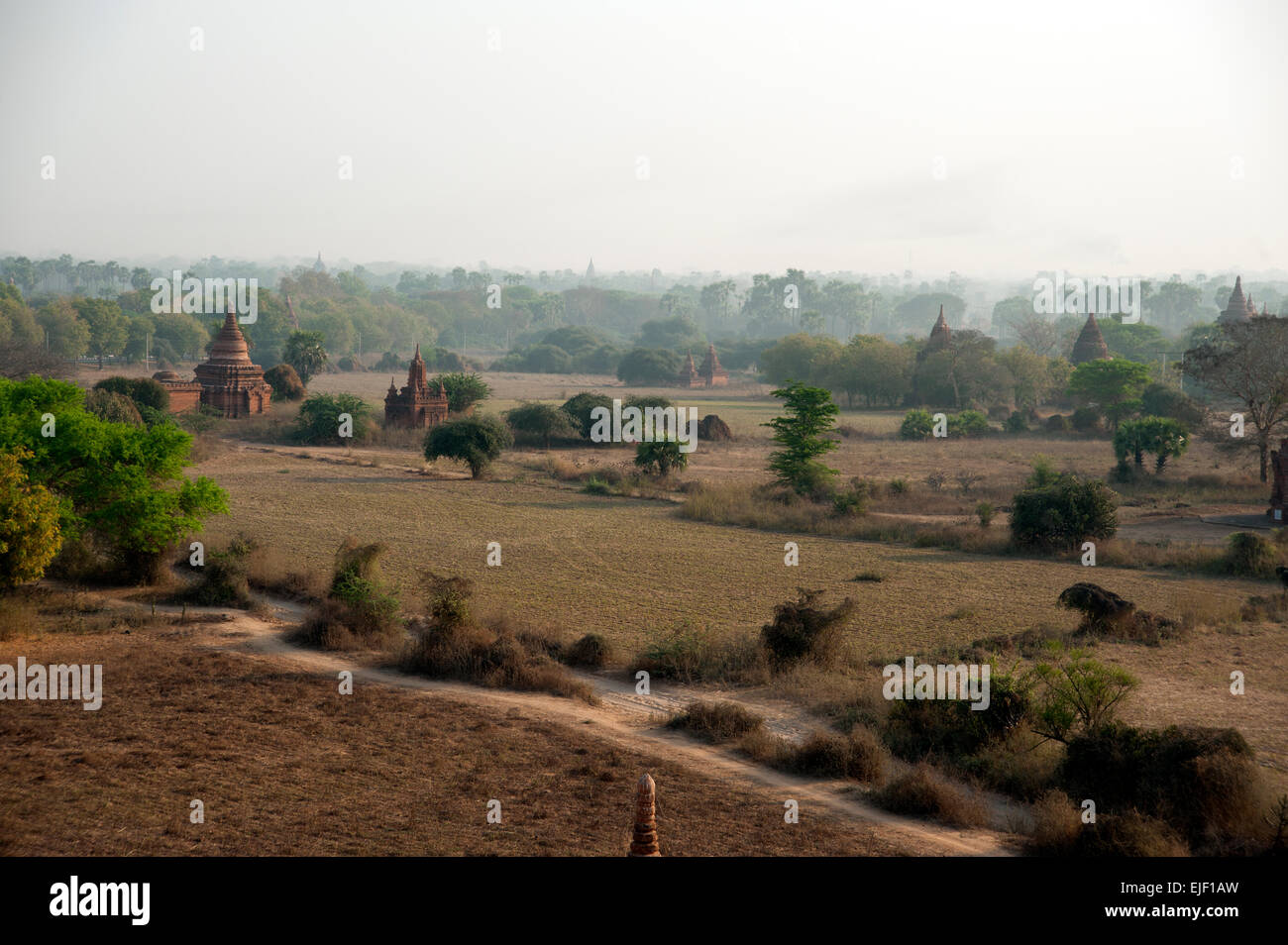 Hundreds of temples appear through the early dawn mist on the plain of ...