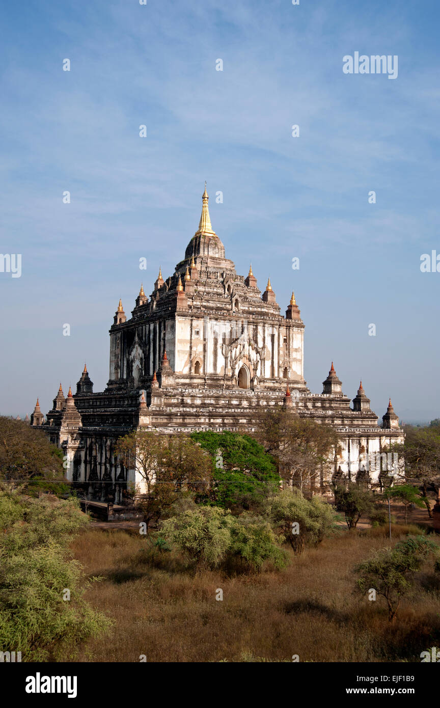 The Thatbyinnyu Pagoda stands tall amongst the vegetation on the dusty ...