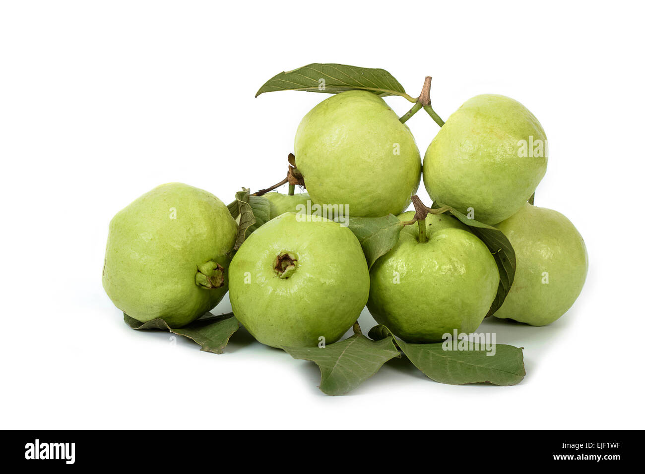 Group of guava fruit,tropical fruit Stock Photo - Alamy