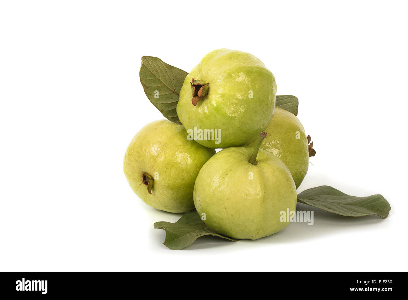 guava fruit,tropical fruit Stock Photo - Alamy