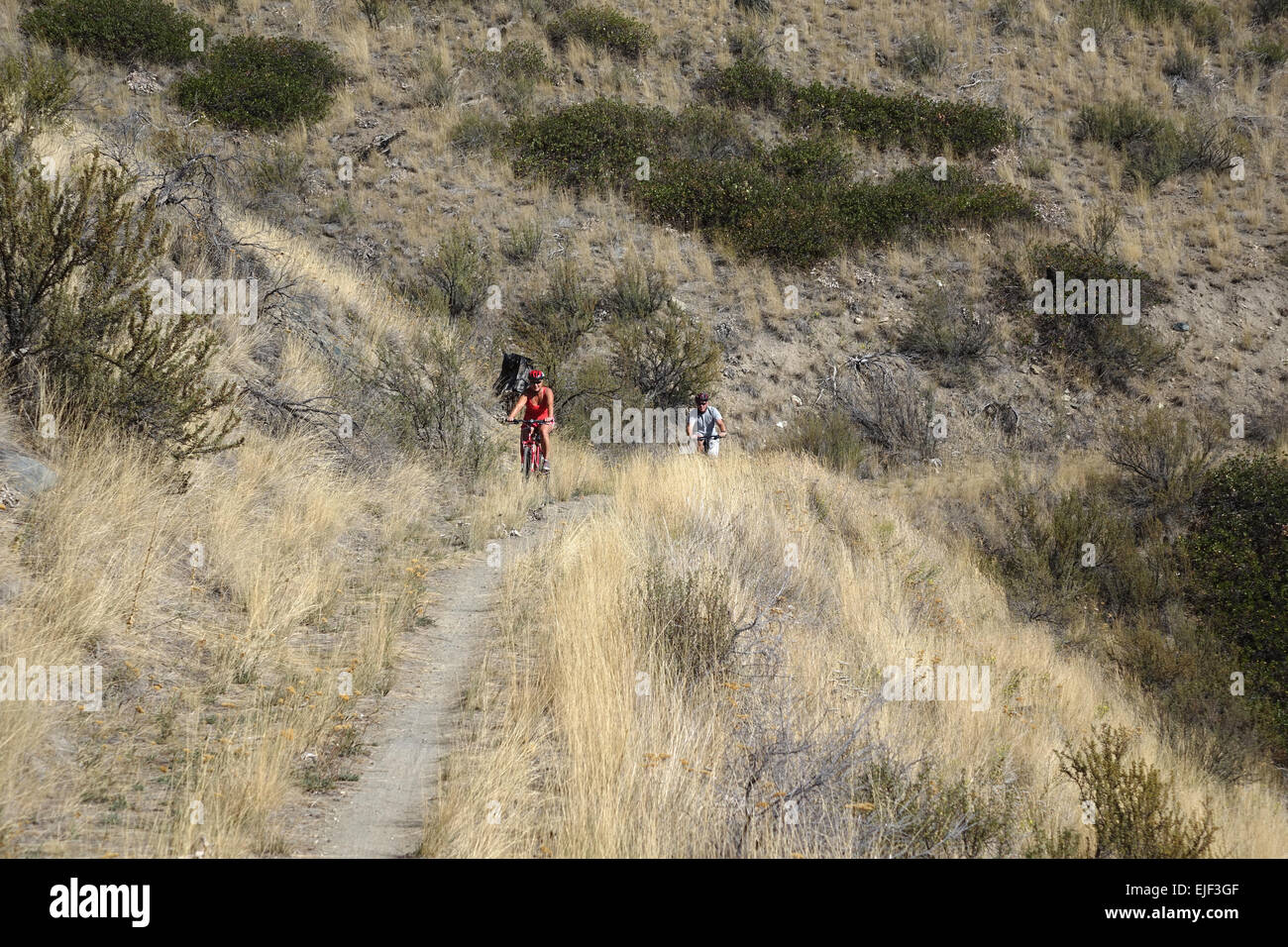 Two mountain bikers ride the trails at Echo Ridge Multi-Use area in the ...
