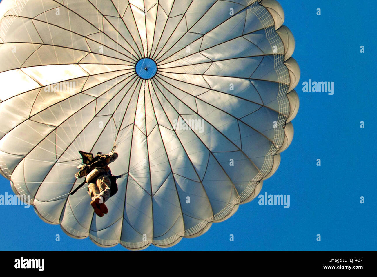 Paratroopers descend onto Fort Bragg’s Sicily Drop Zone after exiting ...