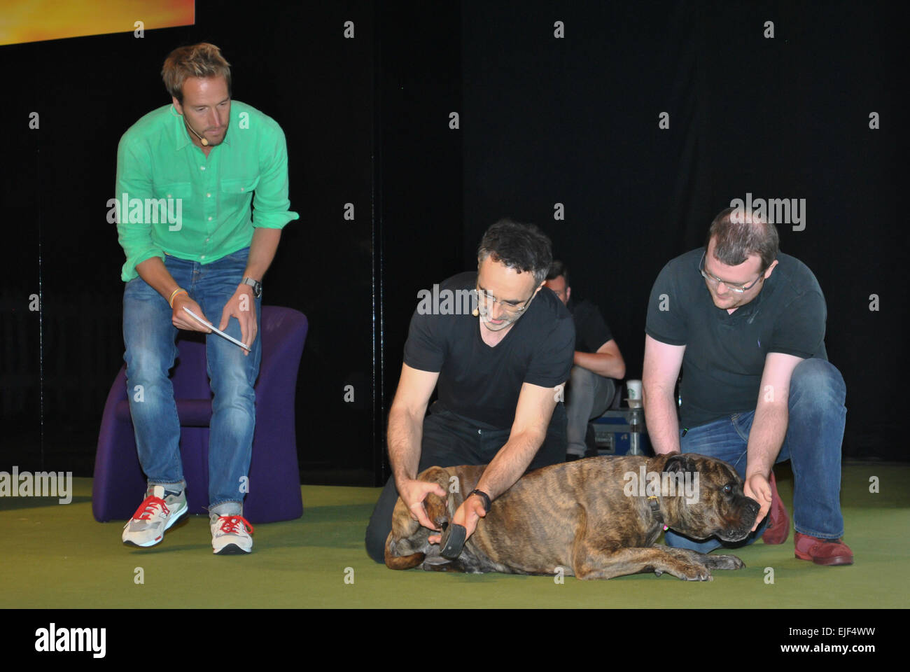 Ben fogle pet hi-res stock photography and images - Alamy