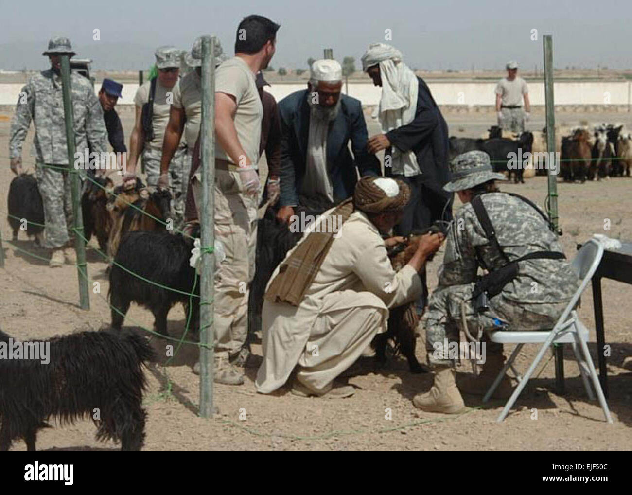Dr. Gulam, a provincial veterinarian, teaches a goat herder how to ...