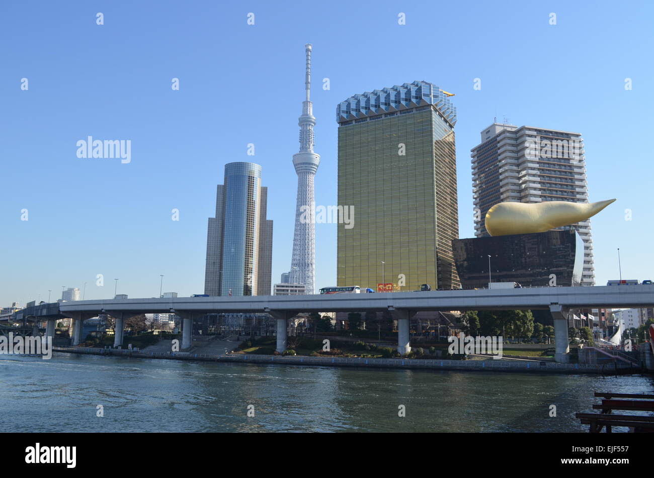 Golden Poo High Resolution Stock Photography and Images - Alamy