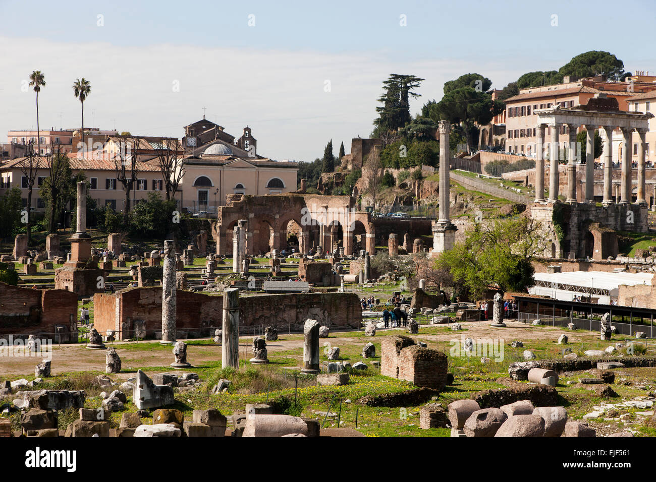 Forum Romanum in Rom, Italy Stock Photo - Alamy