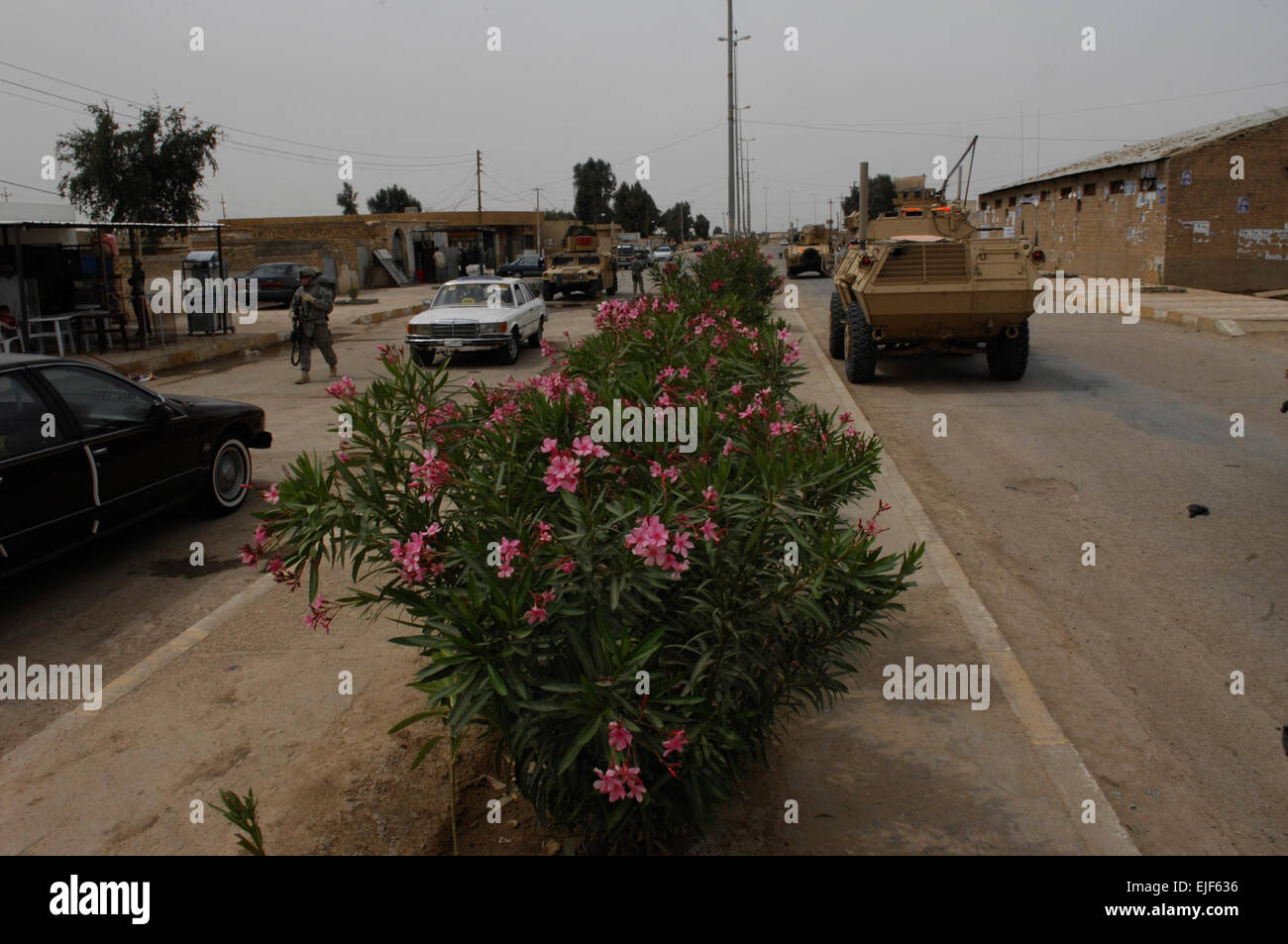 U.S. Army soldiers assigned to 772nd Military Police Company, 41st ...