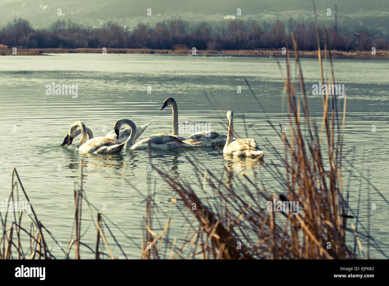 Calm scene blue lake in hi-res stock photography and images - Alamy