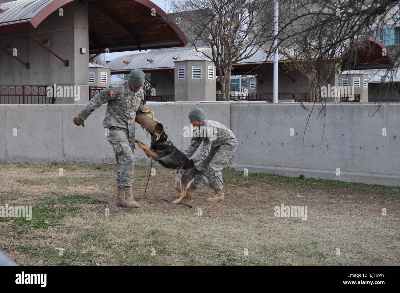 Us army aab hi-res stock photography and images - Alamy