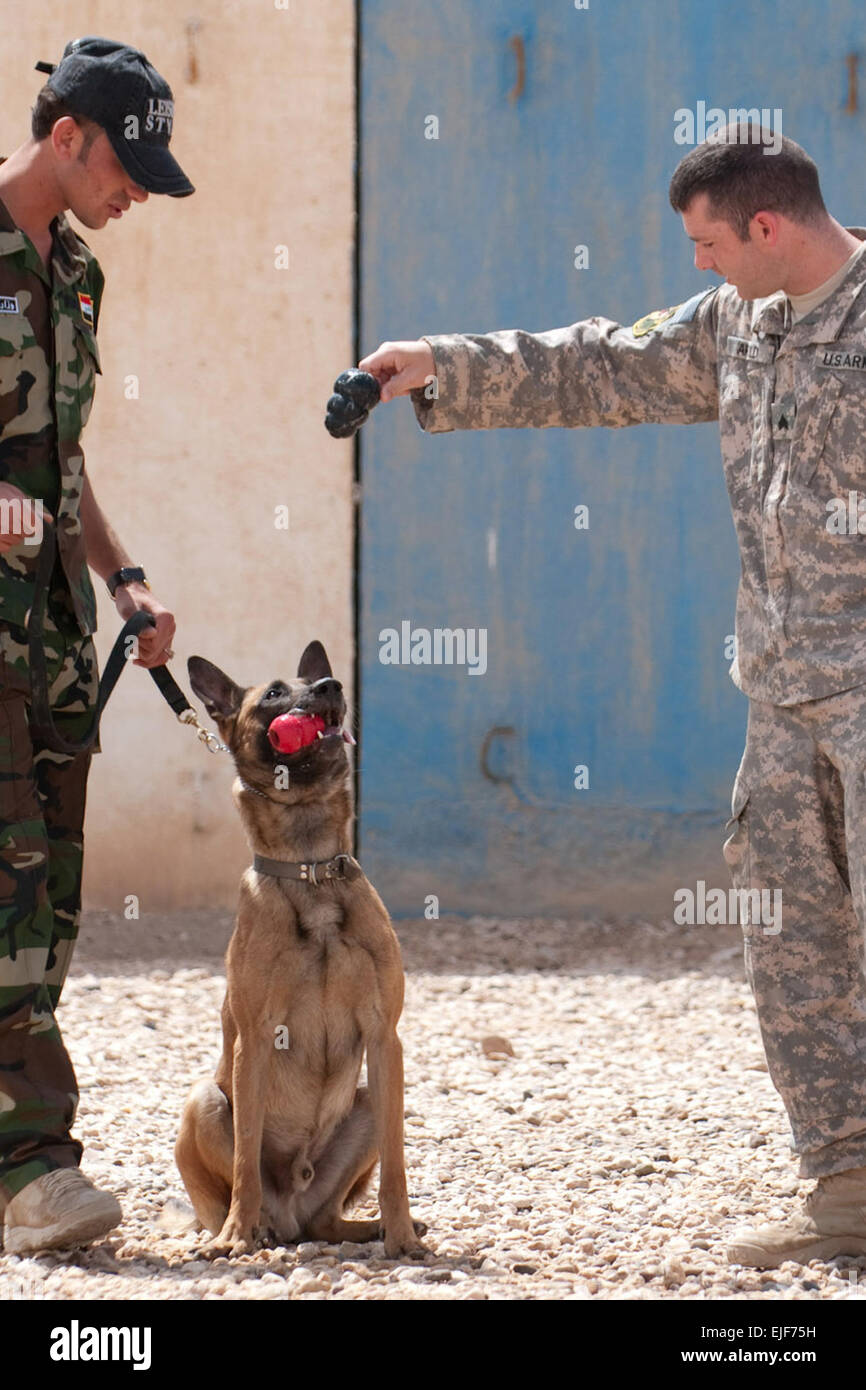 Military police unit stand hi-res stock photography and images - Alamy