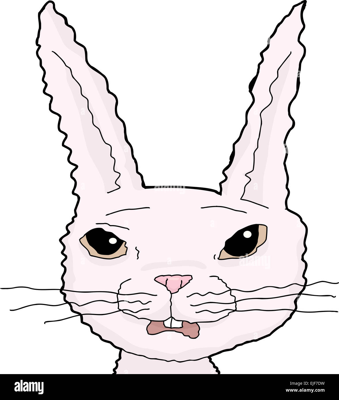 Worried rabbit hi-res stock photography and images - Alamy