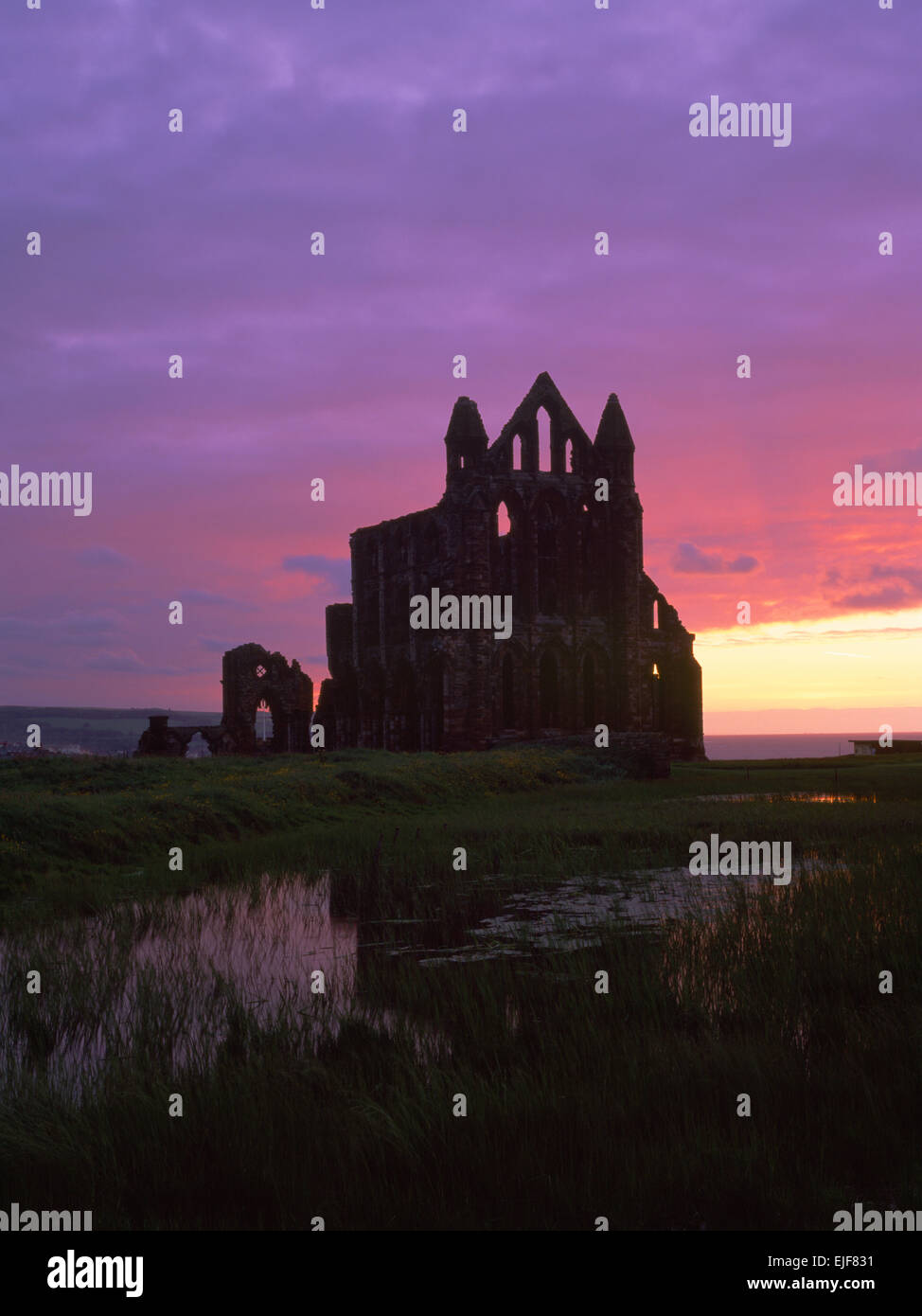 Silhouette of Whitby Abbey ruins, North Yorkshire, looking NW at ...