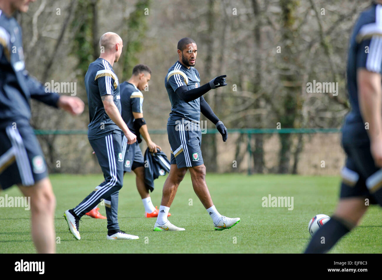 David williams football hi-res stock photography and images - Alamy