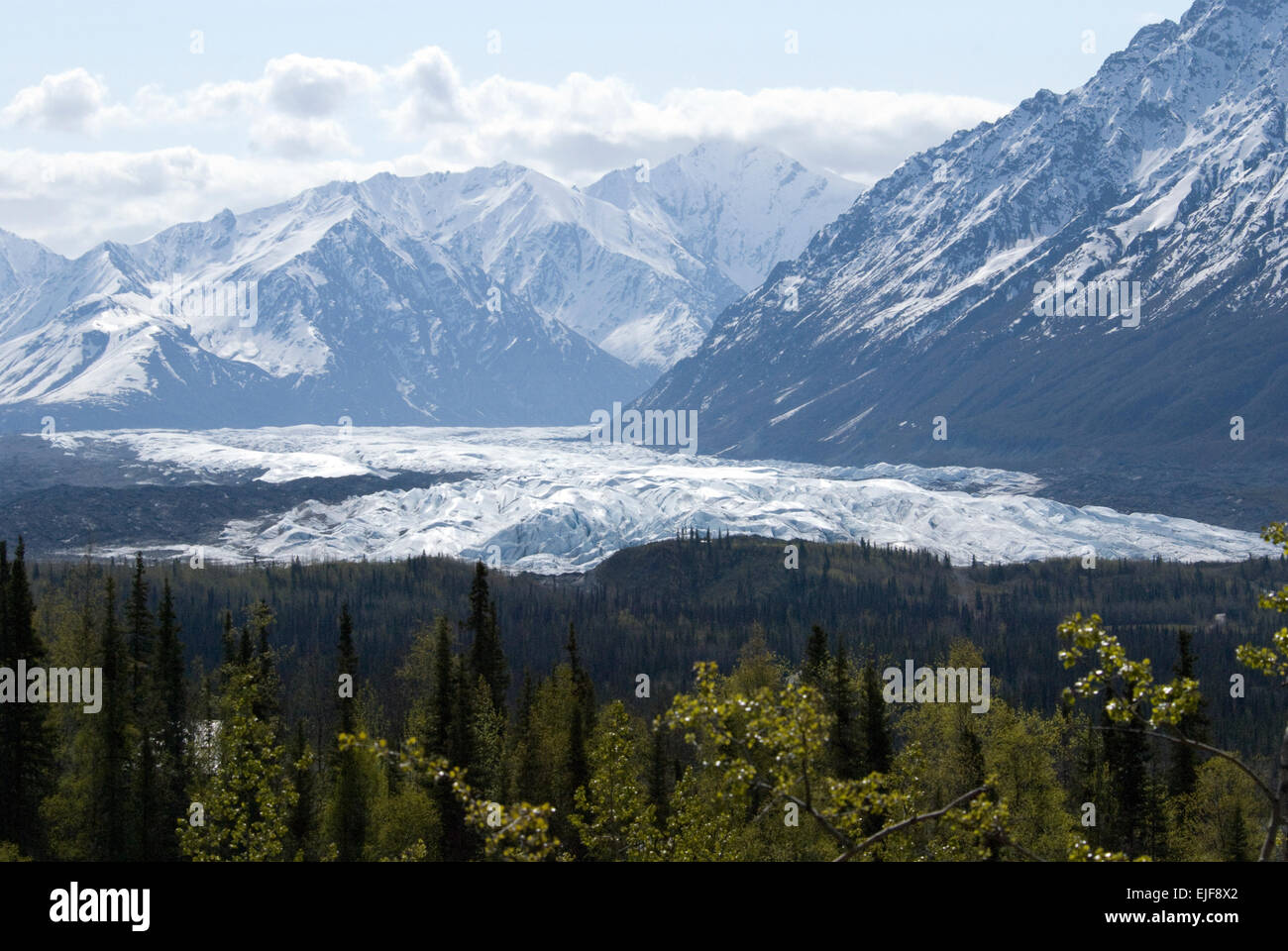 Matanuska Glacier, Alaska from the road Stock Photo - Alamy
