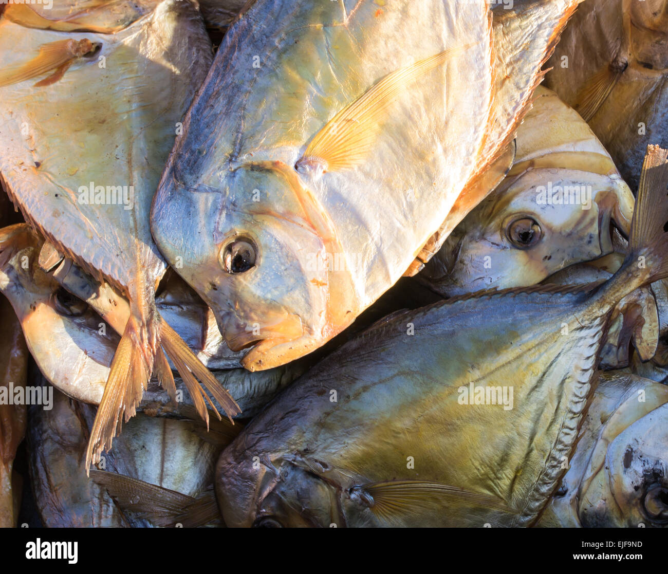 Fish for local consumption hi-res stock photography and images - Alamy