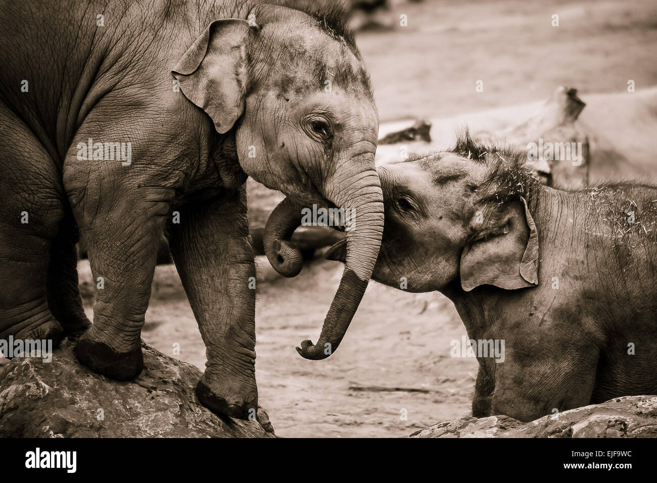 Infants play hi-res stock photography and images - Alamy
