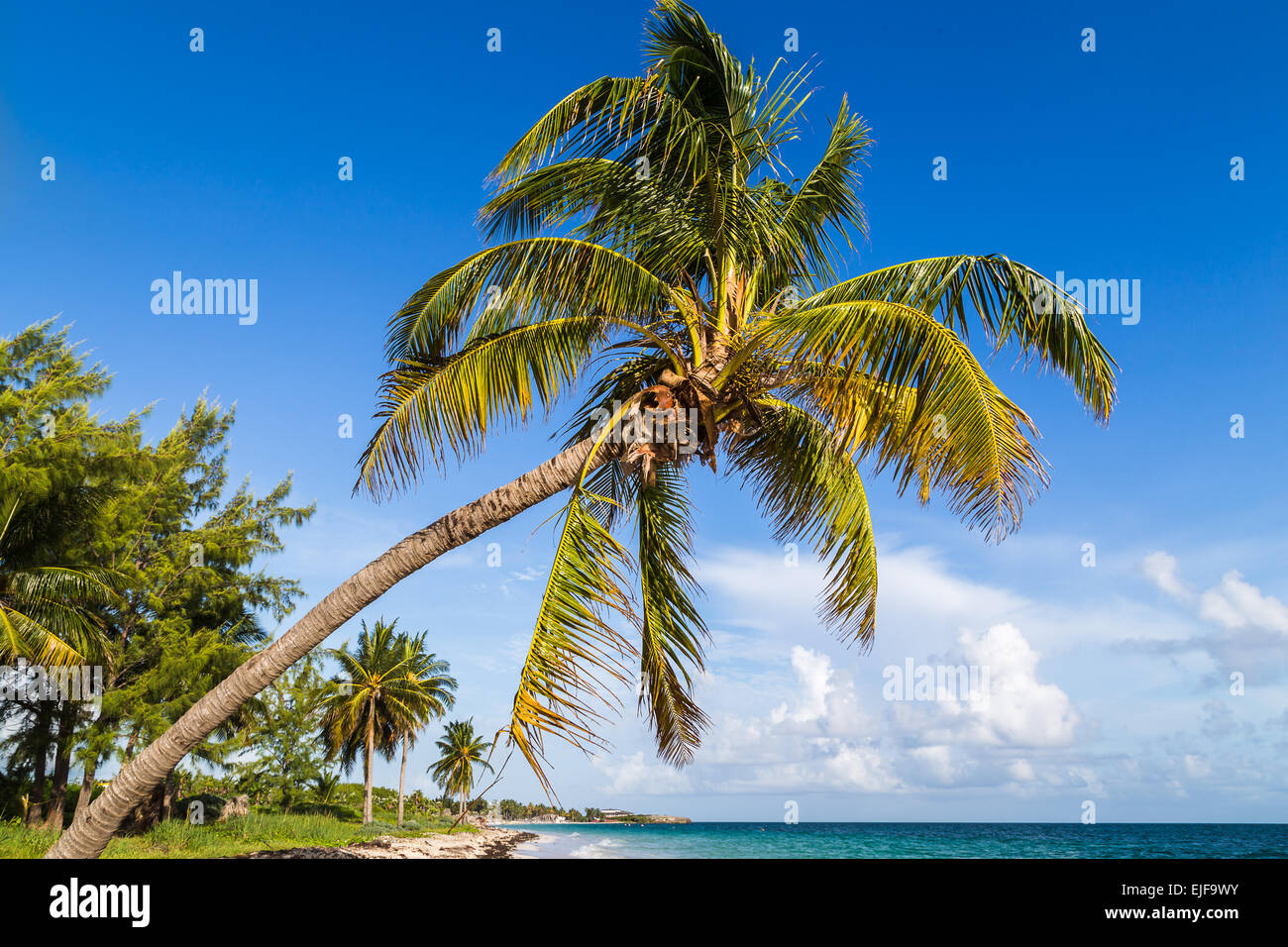 Beautiful stretch of beach in Cuba Stock Photo - Alamy