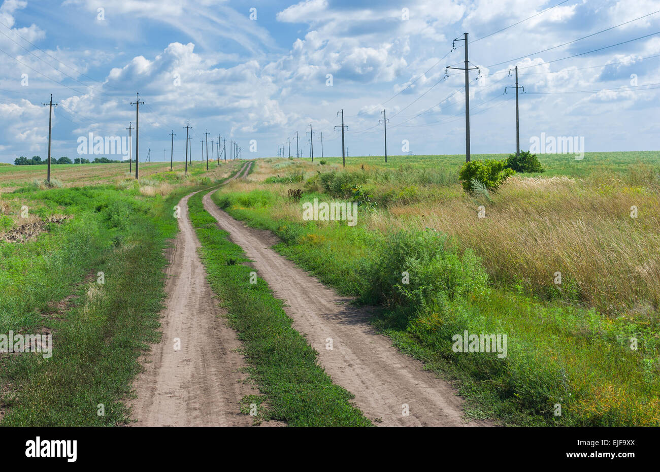 Ukrainian Landscape with country road at summer season Stock Photo - Alamy