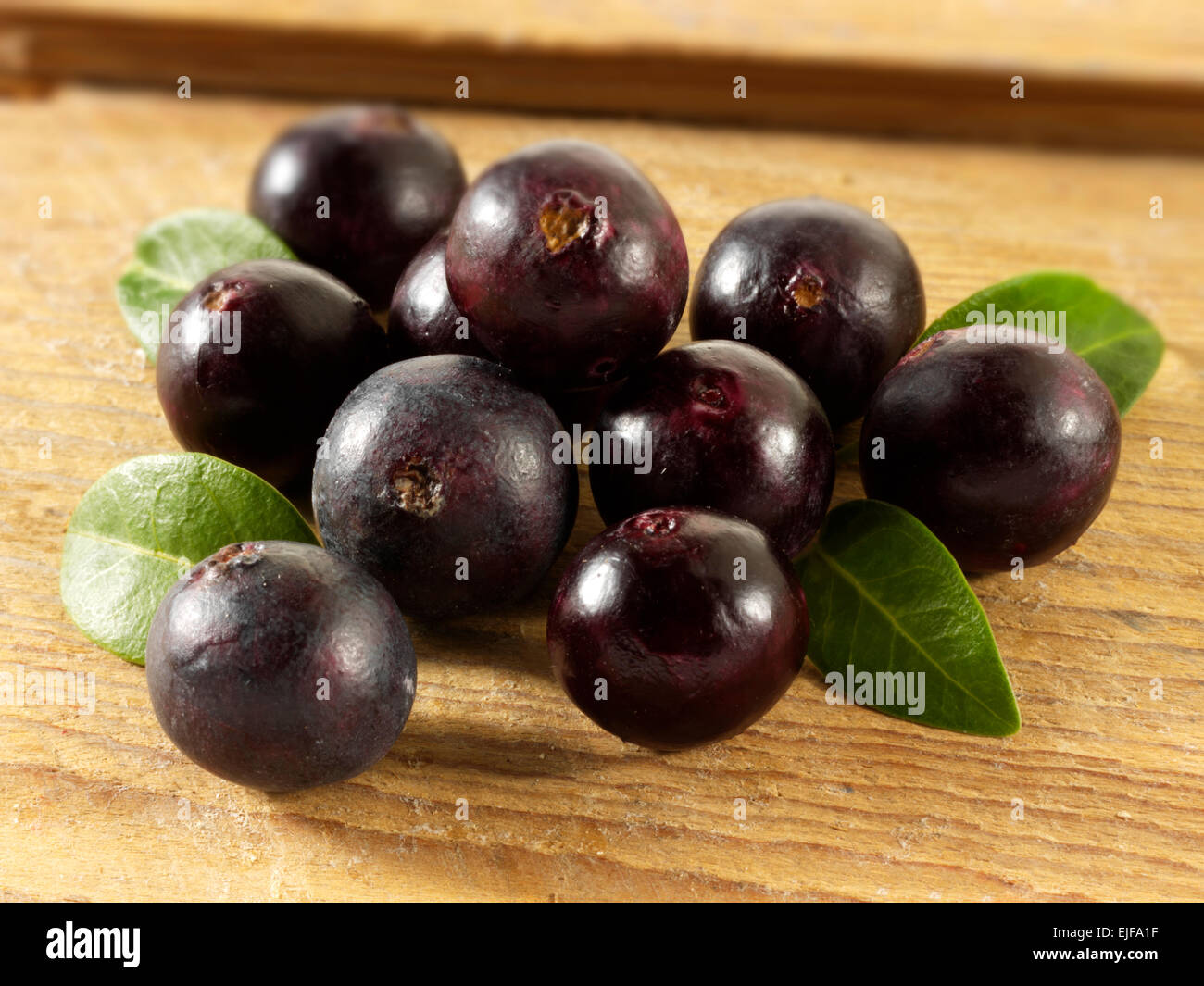 Whole fresh Acai (Açai) berry fruits Stock Photo - Alamy