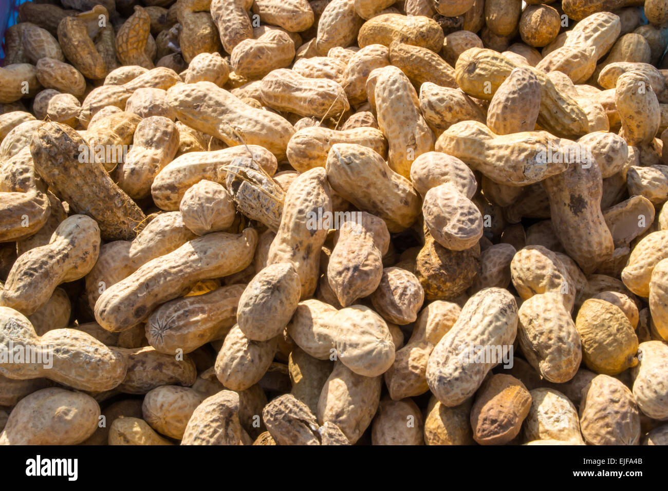 Crunch shells hi-res stock photography and images - Alamy