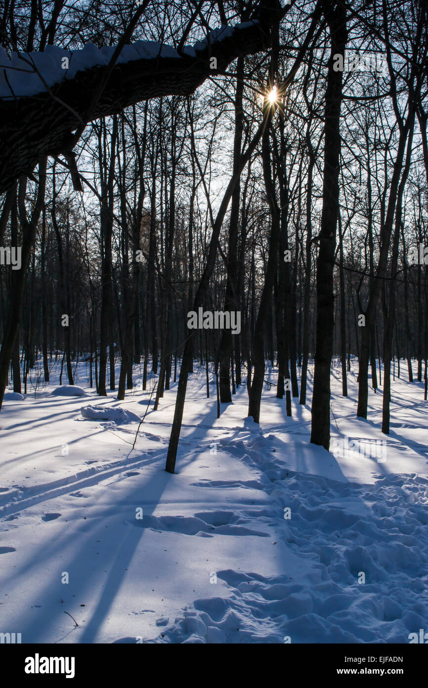 Reflect of the sun hi-res stock photography and images - Alamy