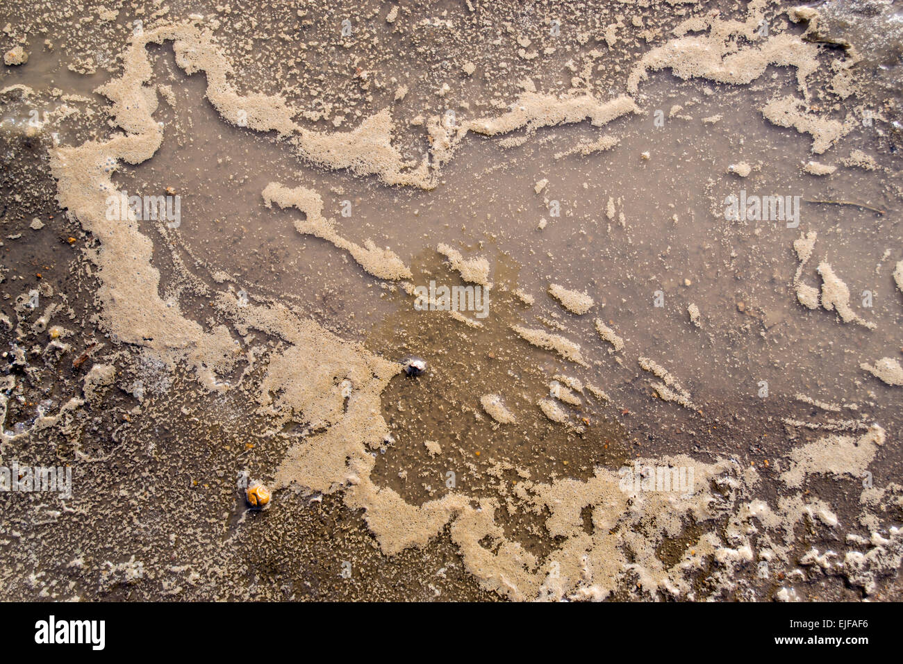 Scum forms on the surface of melted water as it pools on snow Stock ...