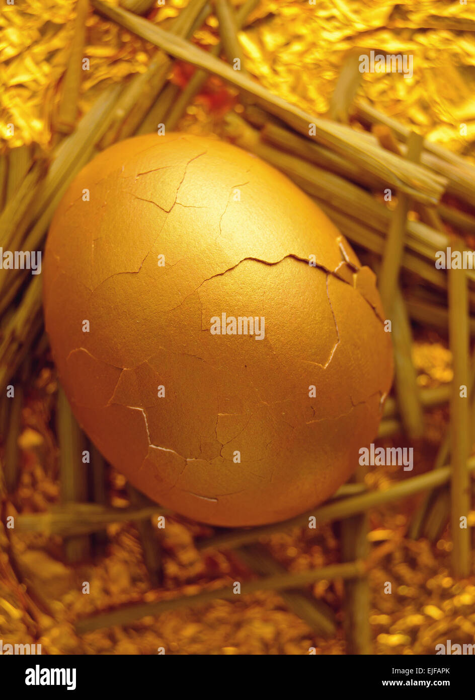 Hatching golden egg hi-res stock photography and images - Alamy