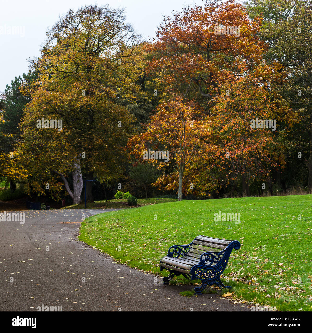 Trees sefton park liverpool hi-res stock photography and images - Alamy