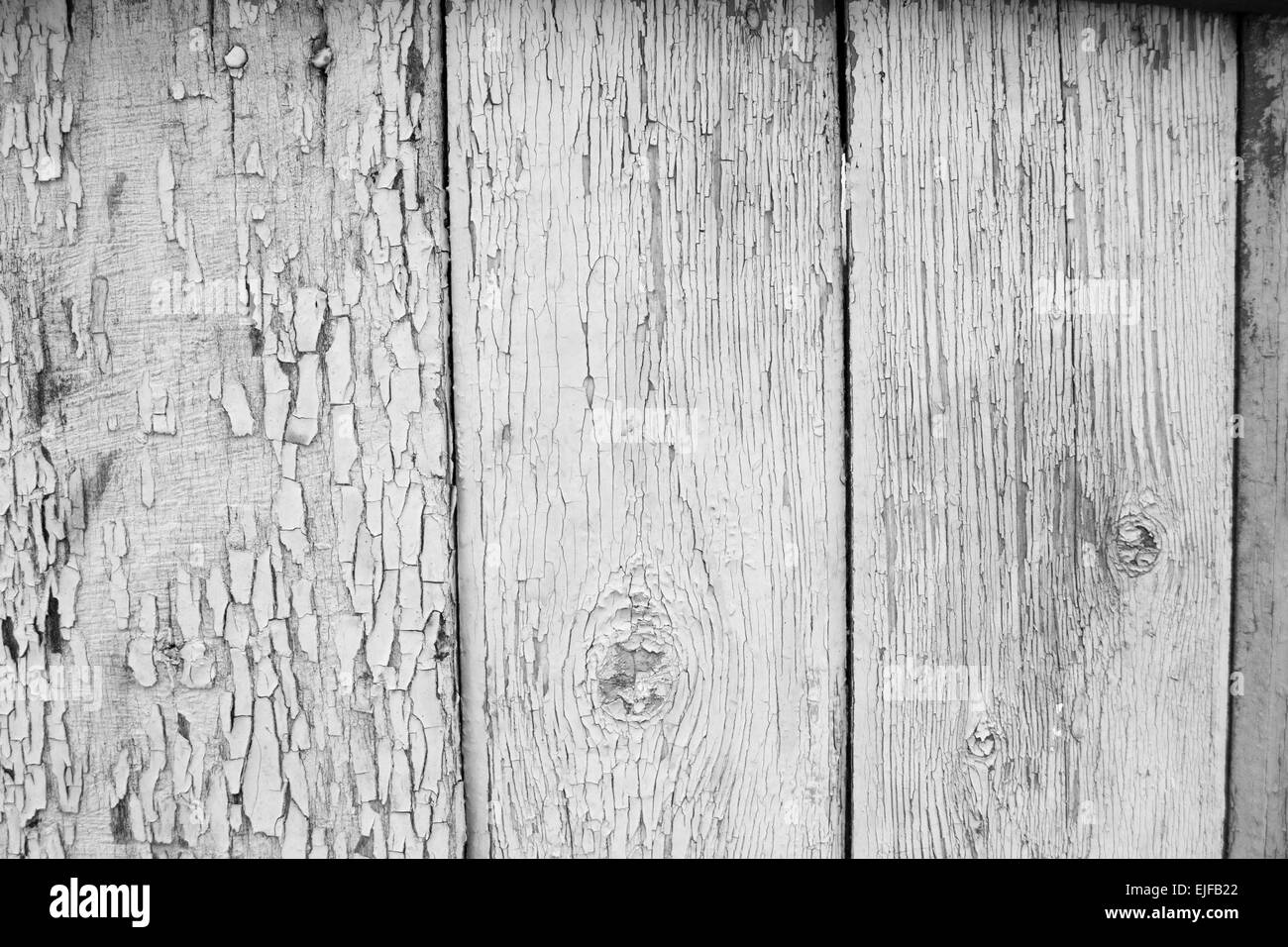 Grey painted wood with flakes and peeling signs Stock Photo - Alamy