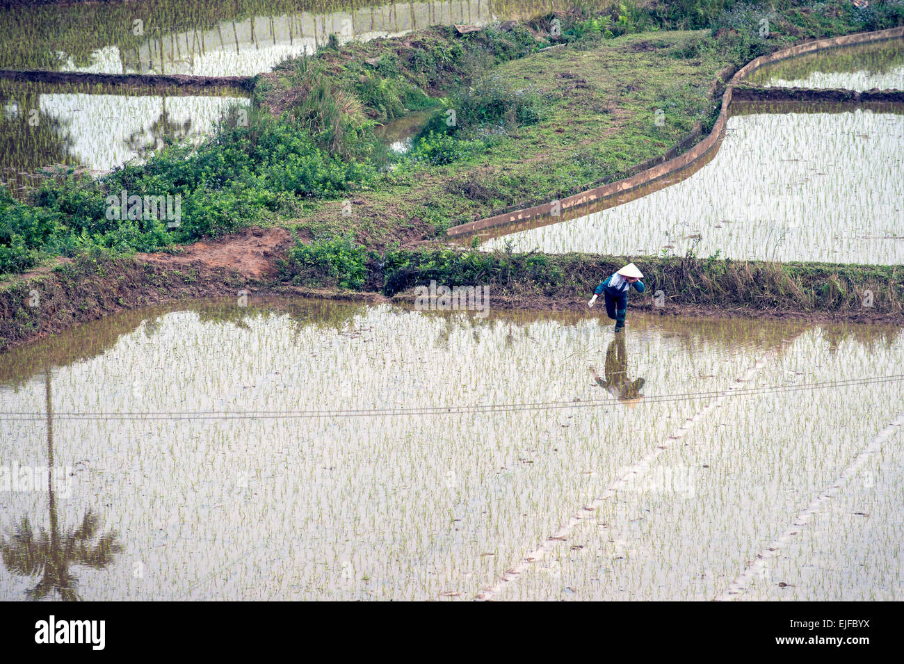 Cai be vietnam hi-res stock photography and images - Alamy