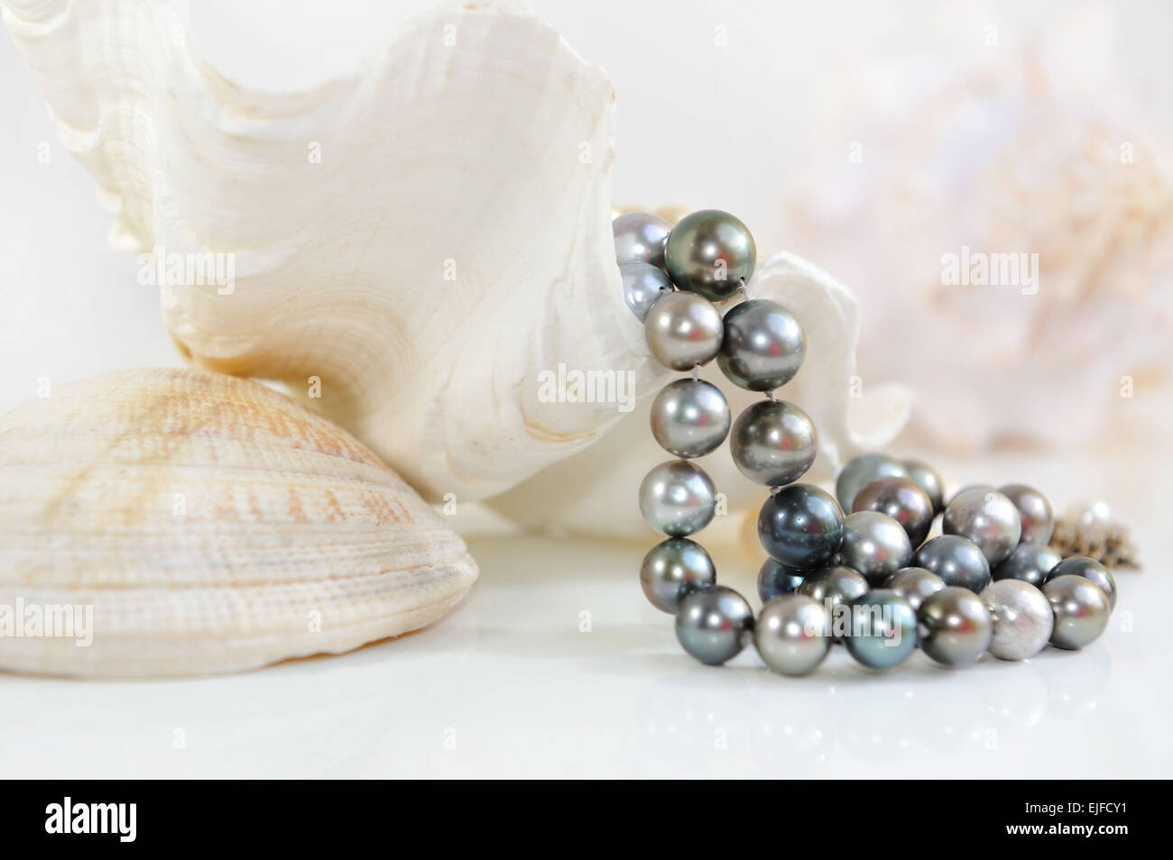 Background of the big white sea shells and black pearls Stock Photo - Alamy