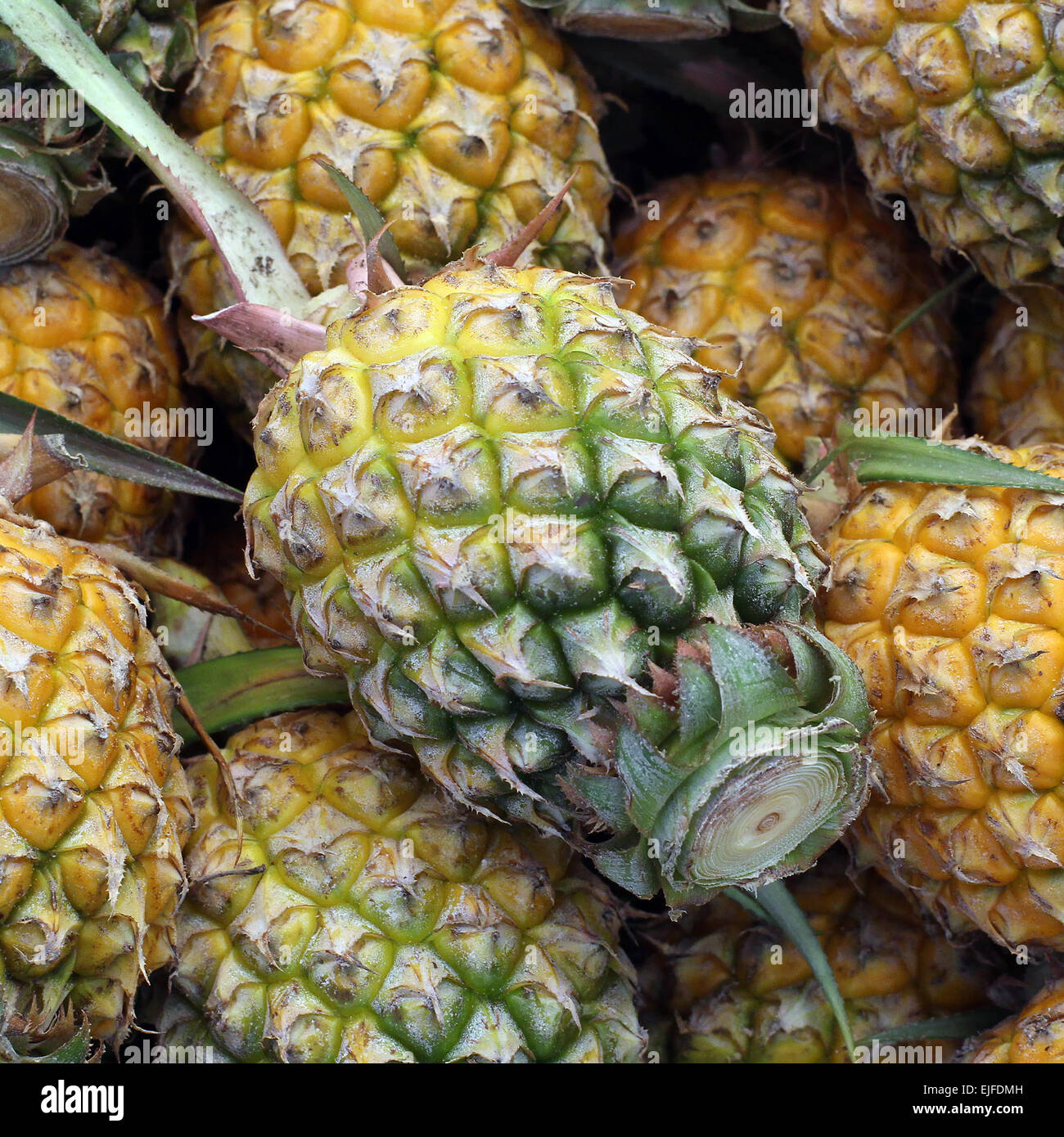 Pineapple farm thailand hi-res stock photography and images - Alamy