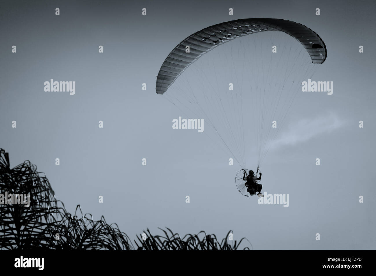 Powered Parachute In Flight