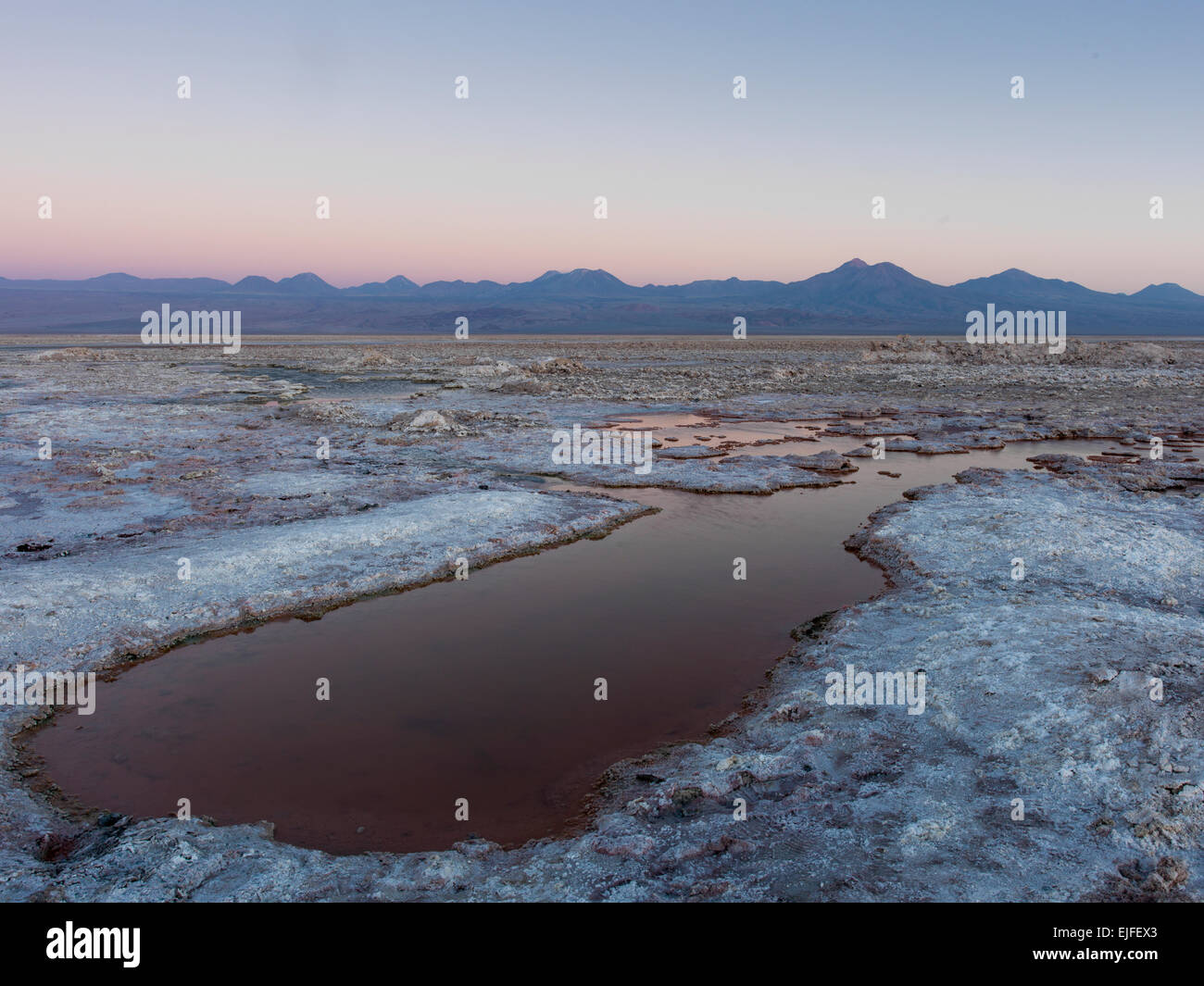 Chaxa lagoon hi-res stock photography and images - Alamy