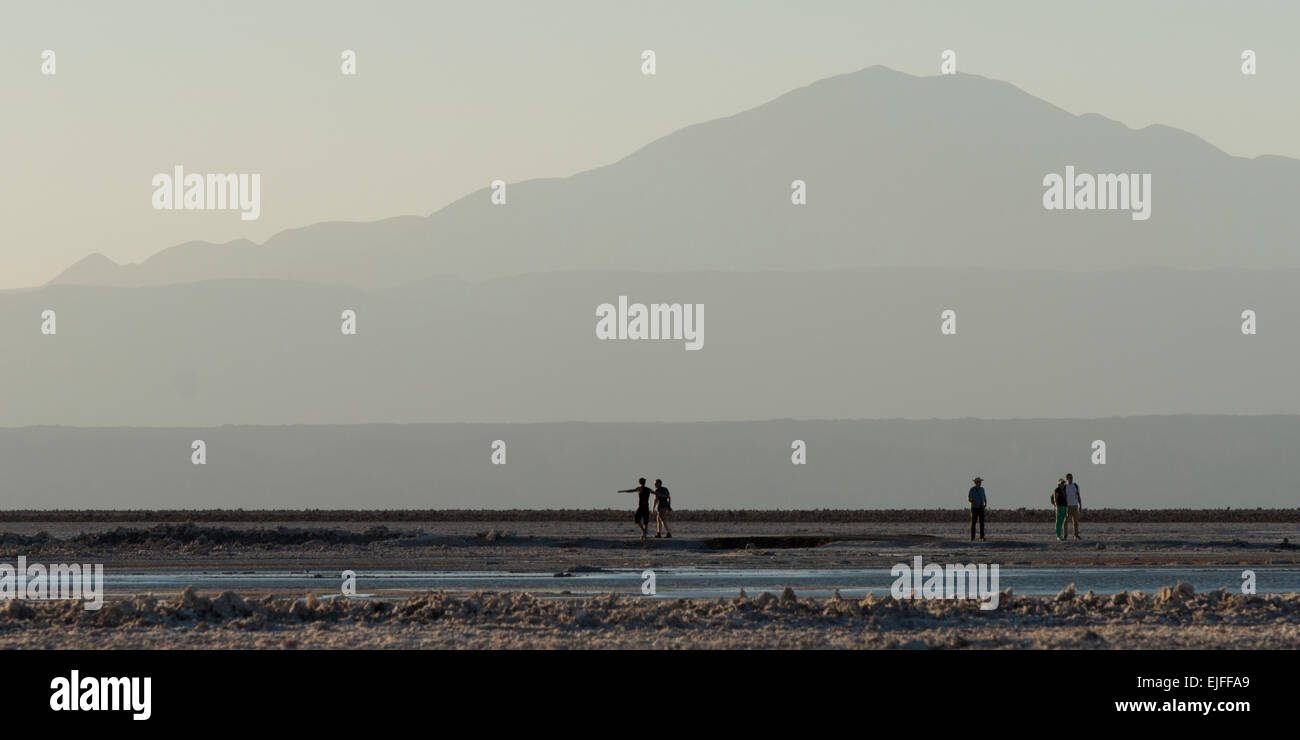 Chaxa Lagoon, Los Flamencos National Reserve, San Pedro de Atacama, El ...