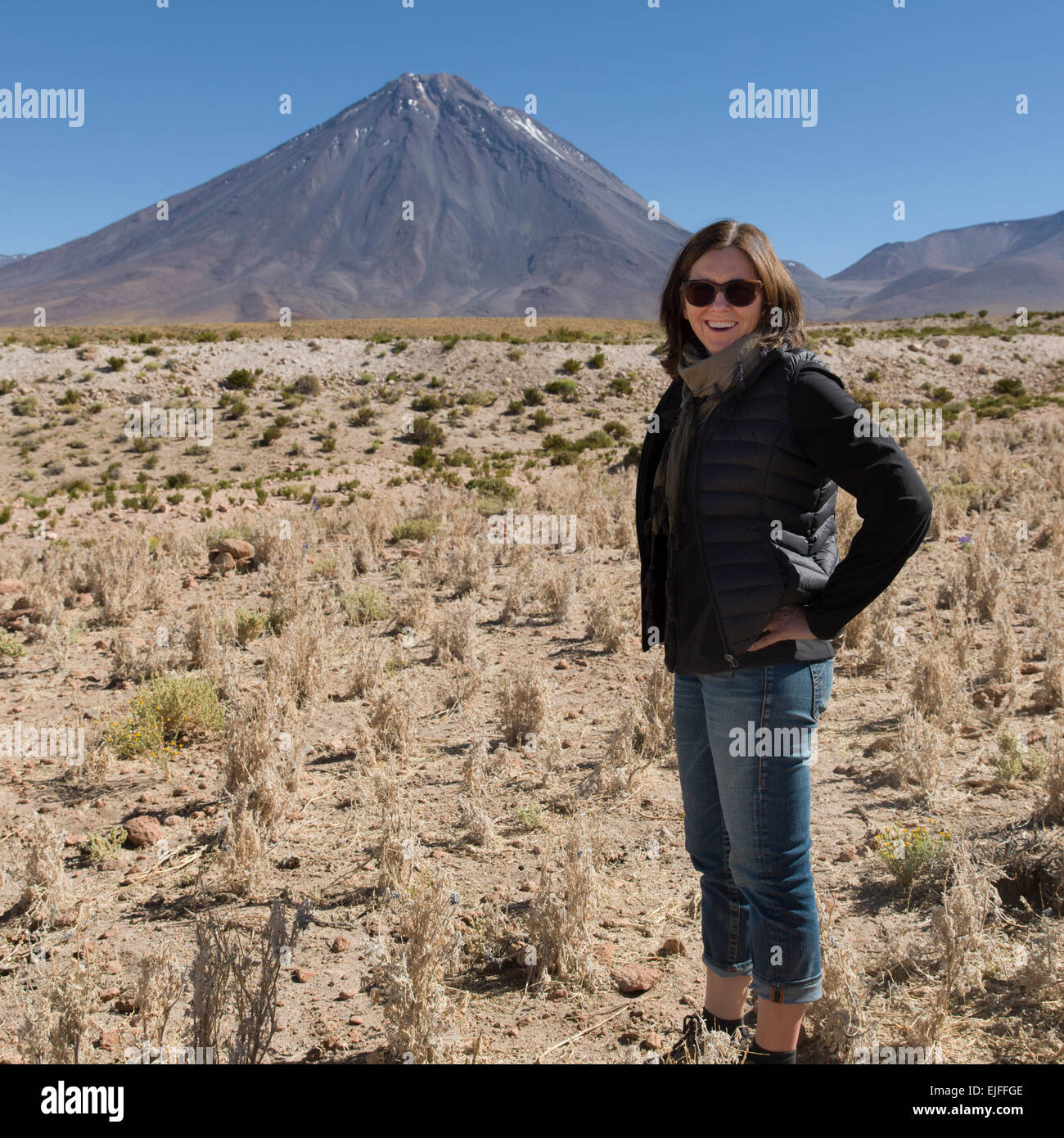 Licancabur volcano in background, Salar De Atacama, San Pedro de ...