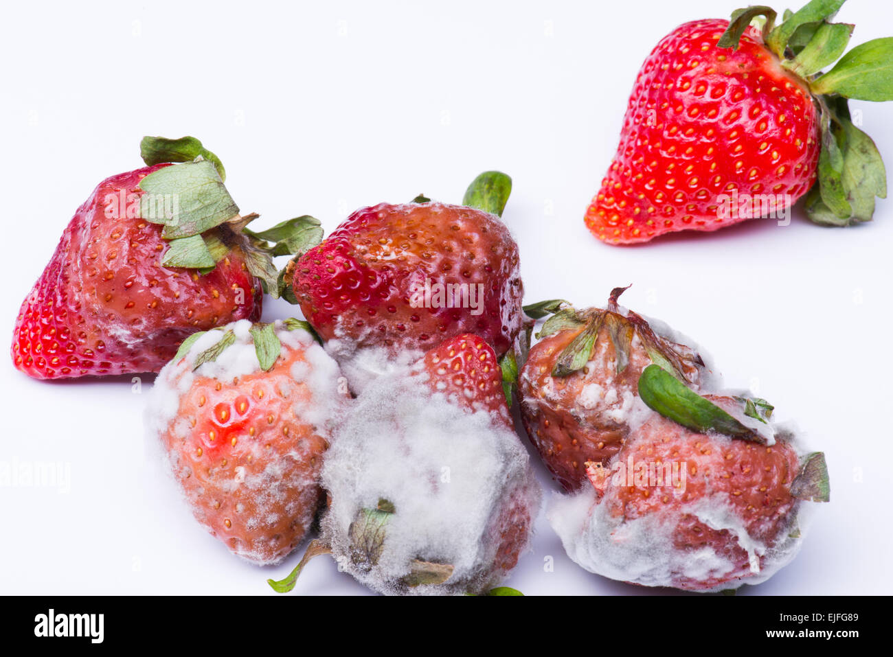 Spoiled strawberry isolated on white Stock Photo - Alamy