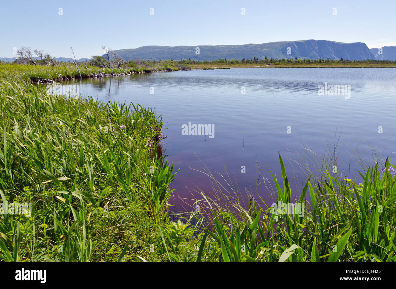 Western Brook Pond, Newfoundland, Canada Stock Photo - Alamy