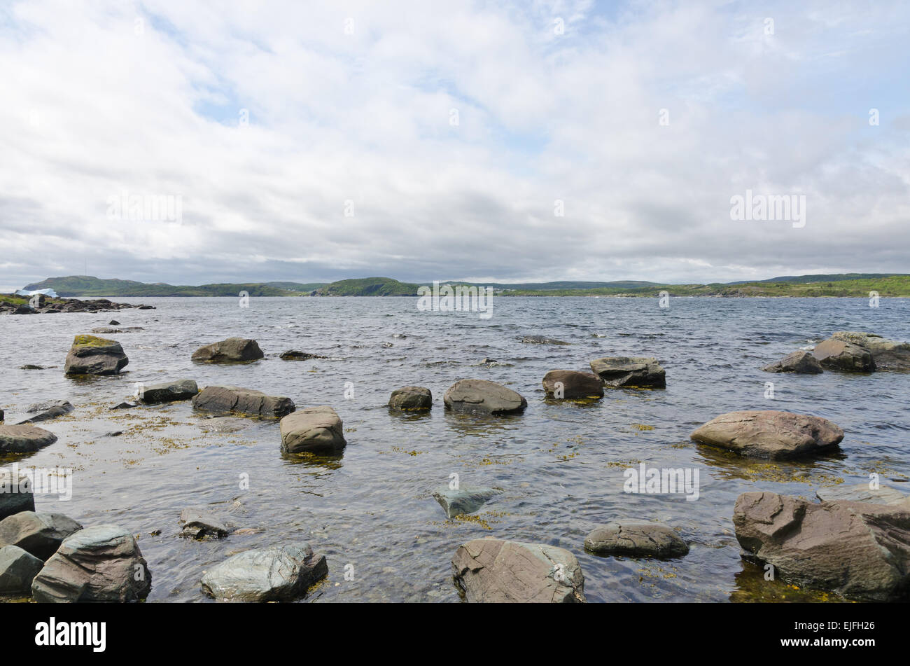 Newfoundland coast in summer time Stock Photo - Alamy