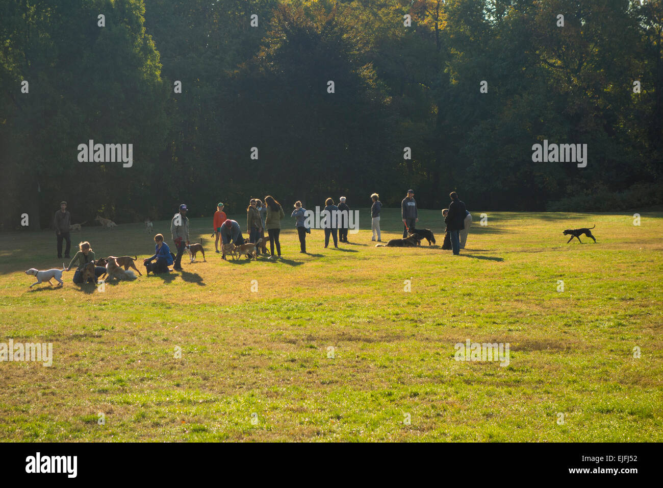 Prospect park fall colors Brooklyn NY Stock Photo - Alamy
