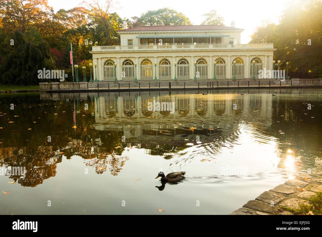 Prospect park fall colors Brooklyn NY Stock Photo - Alamy
