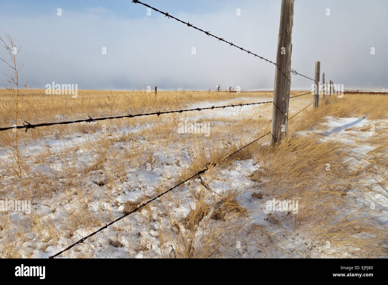 Prairie Winter, barbwire fence line Stock Photo - Alamy
